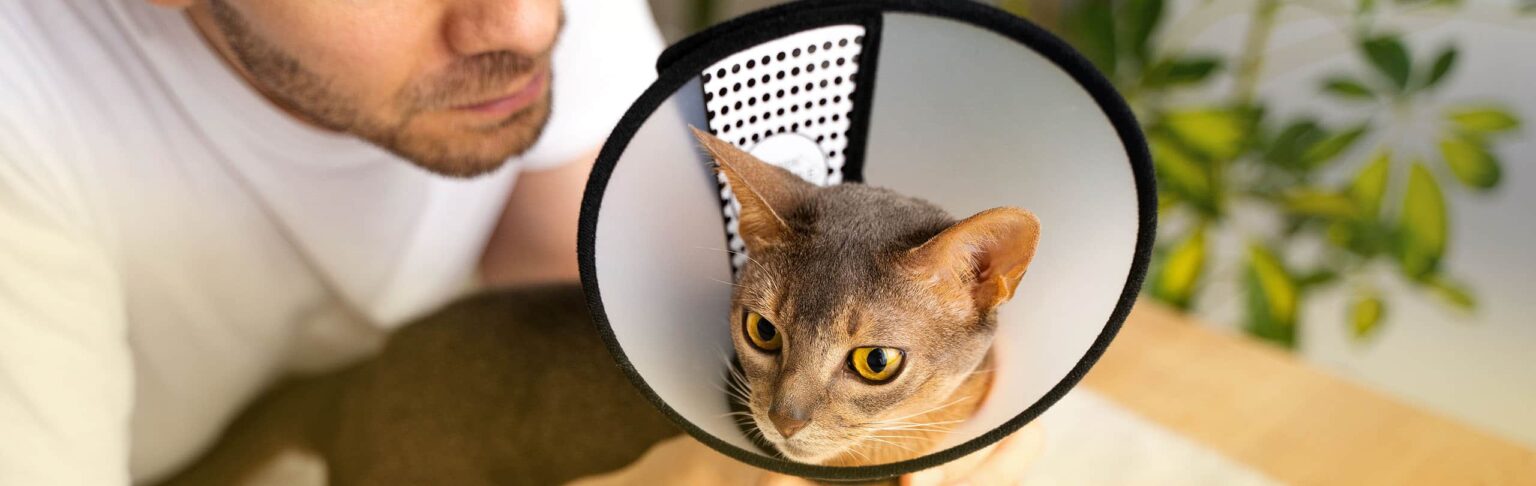 The complete guide to TPD (total and permanent disability) cover